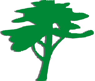 Online registreerimisvorm - Elva Gümnaasiumi 10.klassi katsetele ...